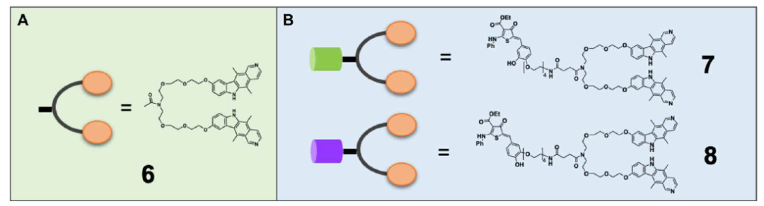 RIBOTAC：开启RNA降解新时代医药新闻-ByDrug-一站式医药资源共享中心-医药魔方
