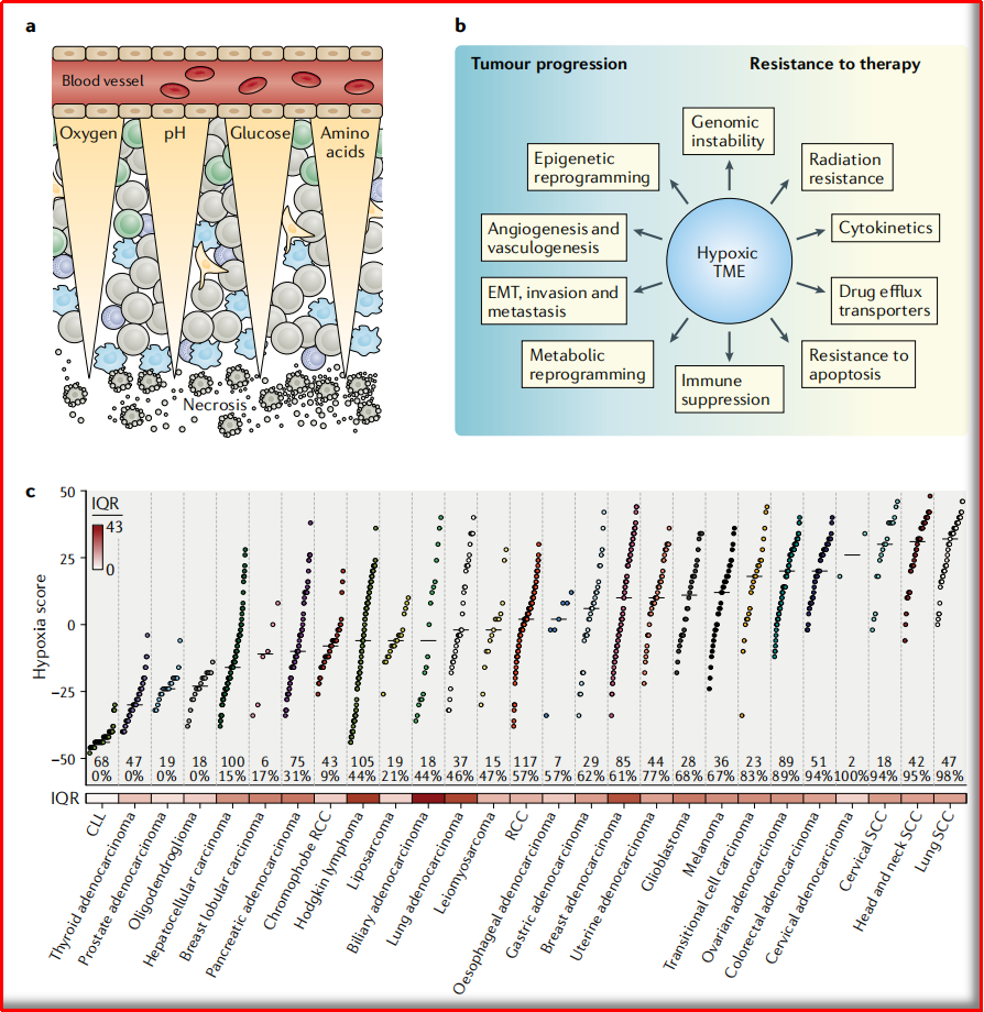 HIF发现30年：曾荣获诺奖，相关药物迎开发热潮医药新闻-ByDrug-一站式医药资源共享中心-医药魔方