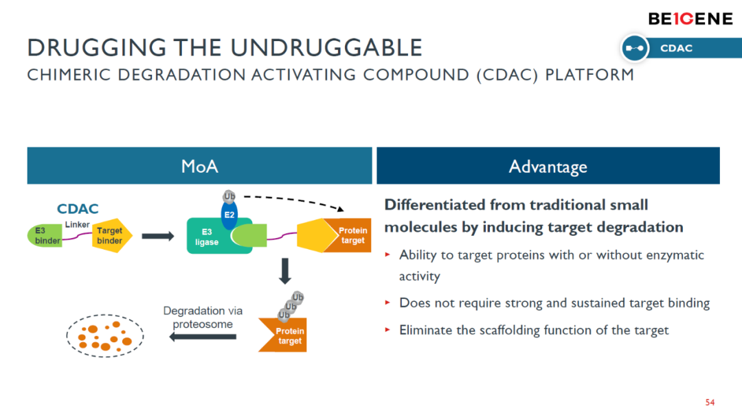 基于创新PROTAC技术平台，百济神州BGB-16673临床试验申请获CDE受理医药新闻-ByDrug-一站式医药资源共享中心-医药魔方