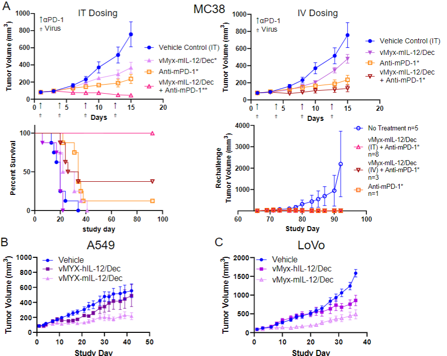开发可静脉注射的溶瘤病毒疗法！OncoMyx获5000万美元B轮融资医药新闻-ByDrug-一站式医药资源共享中心-医药魔方