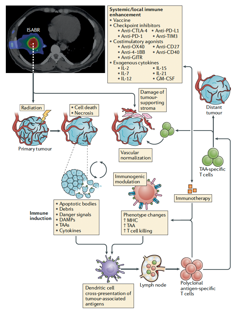 MD安德森癌症中心张玉蛟教授 | 早期肺癌，手术还是SABR？是否联合免疫治疗？医药新闻-ByDrug-一站式医药资源共享中心-医药魔方