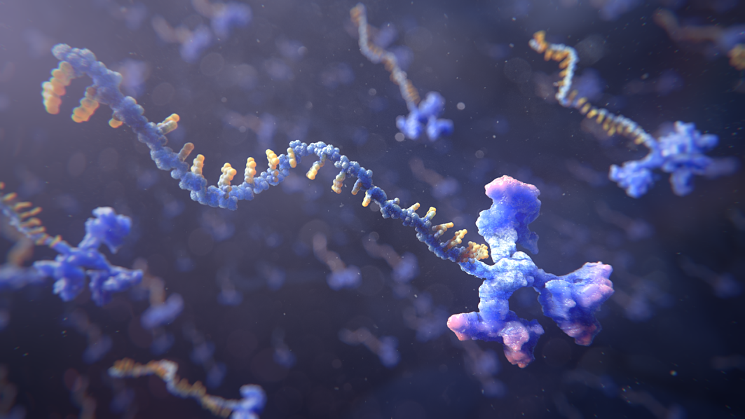 诺华创新降脂疗法Pelacarsen进博会首次亮相，聚焦Lp(a)新靶点，助力心脑血管疾病防治医药新闻-ByDrug-一站式医药资源共享中心-医药魔方