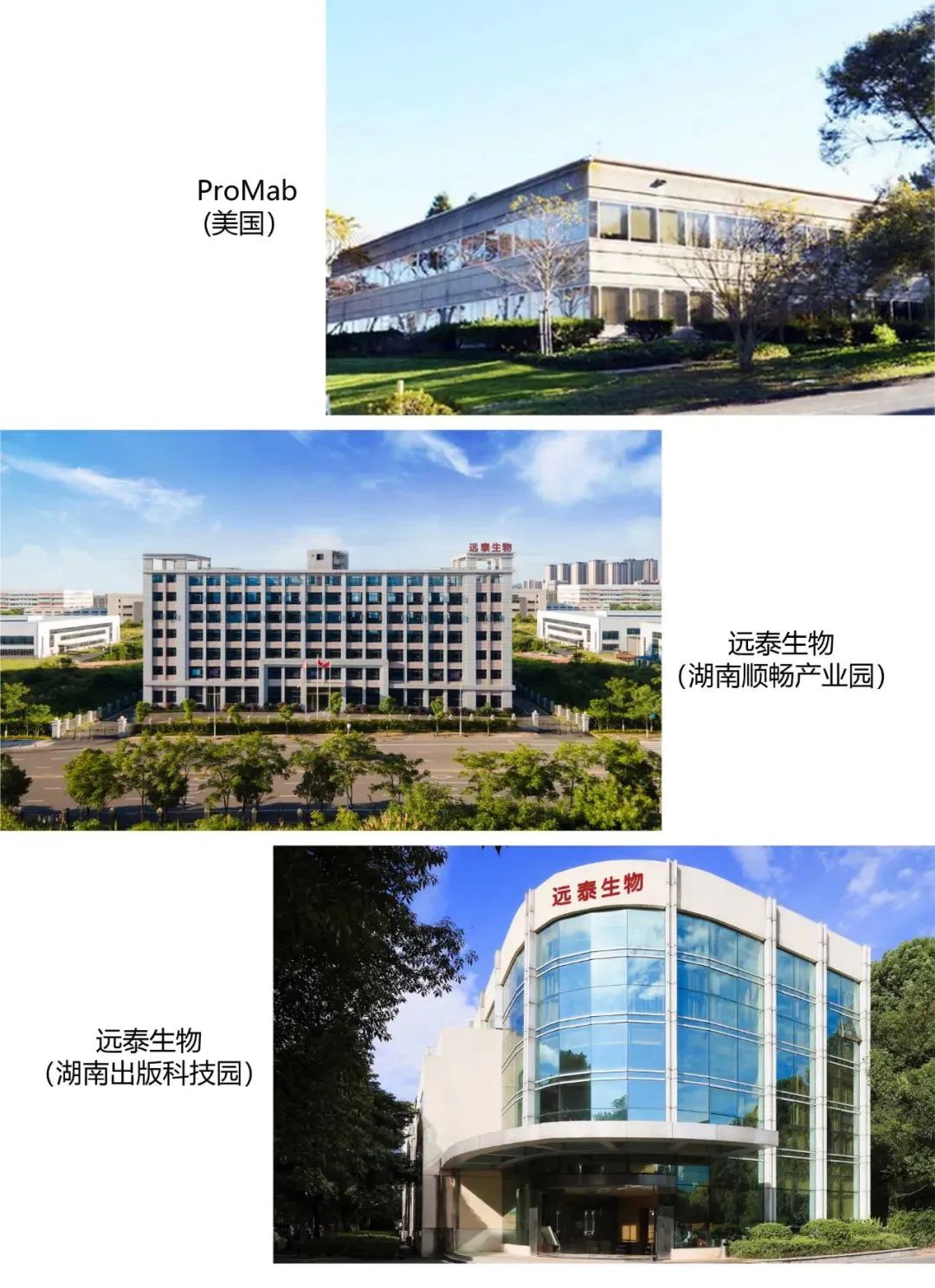 ProMab抗体上新（第二期）医药新闻-ByDrug-一站式医药资源共享中心-医药魔方