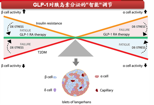 【GLP-1产业链专题】GLP-1RA引领全球降糖减重时代变革医药新闻-ByDrug-一站式医药资源共享中心-医药魔方