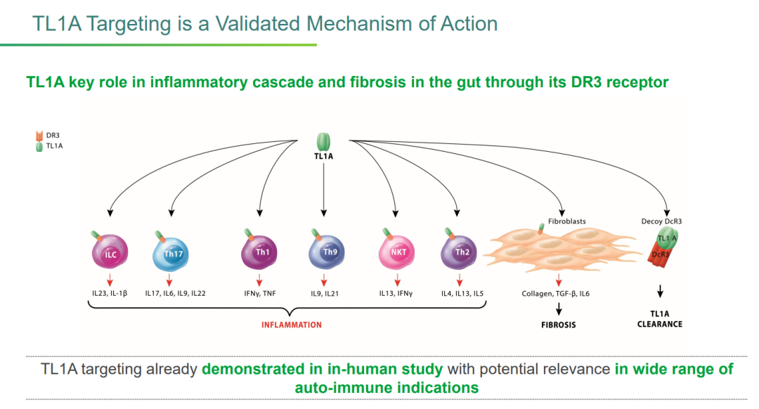 15亿美元！赛诺菲与Teva达成TL1A新药合作开发协议医药新闻-ByDrug-一站式医药资源共享中心-医药魔方