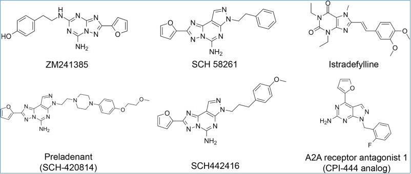 晶蛋生物带您探索GPCR成员—A2AR在癌症免疫治疗中的应用医药新闻-ByDrug-一站式医药资源共享中心-医药魔方