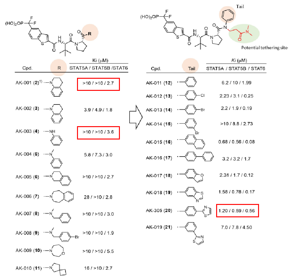 靶向难成药靶点STAT的磷酸肽类抑制剂：花开两朵，各表一枝医药新闻-ByDrug-一站式医药资源共享中心-医药魔方