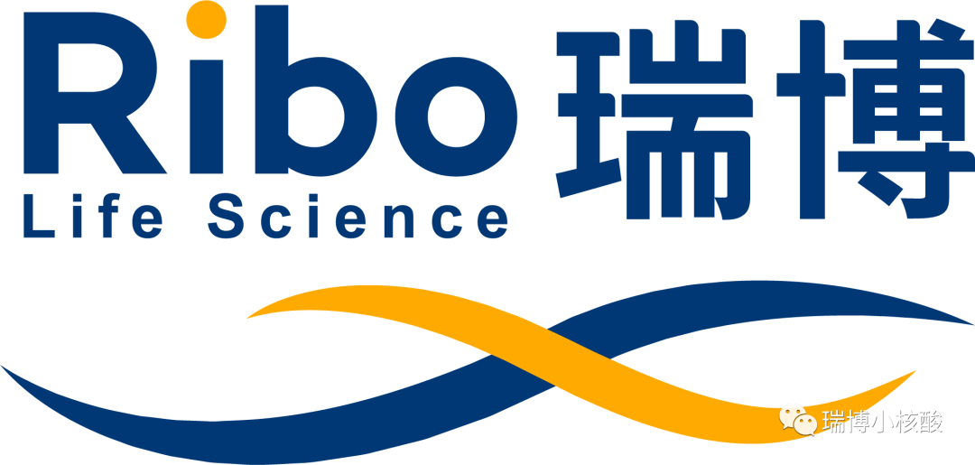 瑞博生物首次公布三款在研小核酸药物研究数据医药新闻-ByDrug-一站式医药资源共享中心-医药魔方