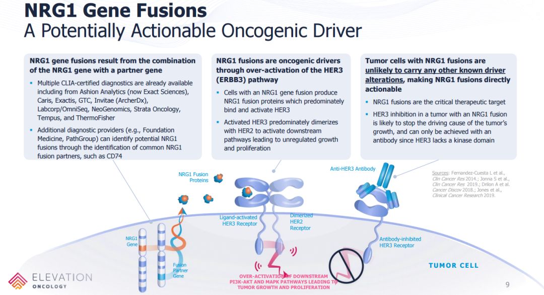 HER3单抗治疗NRG1基因融合实体瘤获FDA快速通道资格，将在ASCO公布临床数据医药新闻-ByDrug-一站式医药资源共享中心-医药魔方