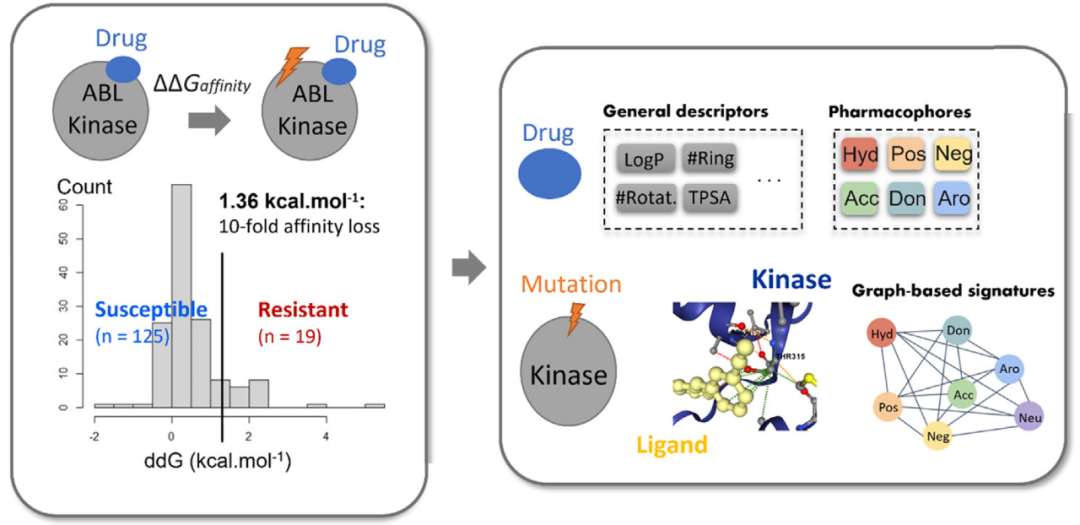 Dr. X | 深度学习指导下的药物耐受预测 —— 致力更优药物发现及未来精准治疗医药新闻-ByDrug-一站式医药资源共享中心-医药魔方