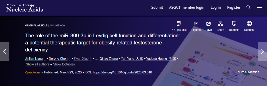 Mol Ther-Nucl Acids丨锐博miRNA动物用产品助力揭示miR-300-3p在睾丸间质细胞功能和分化中的作用医药新闻-ByDrug-一站式医药资源共享中心-医药魔方