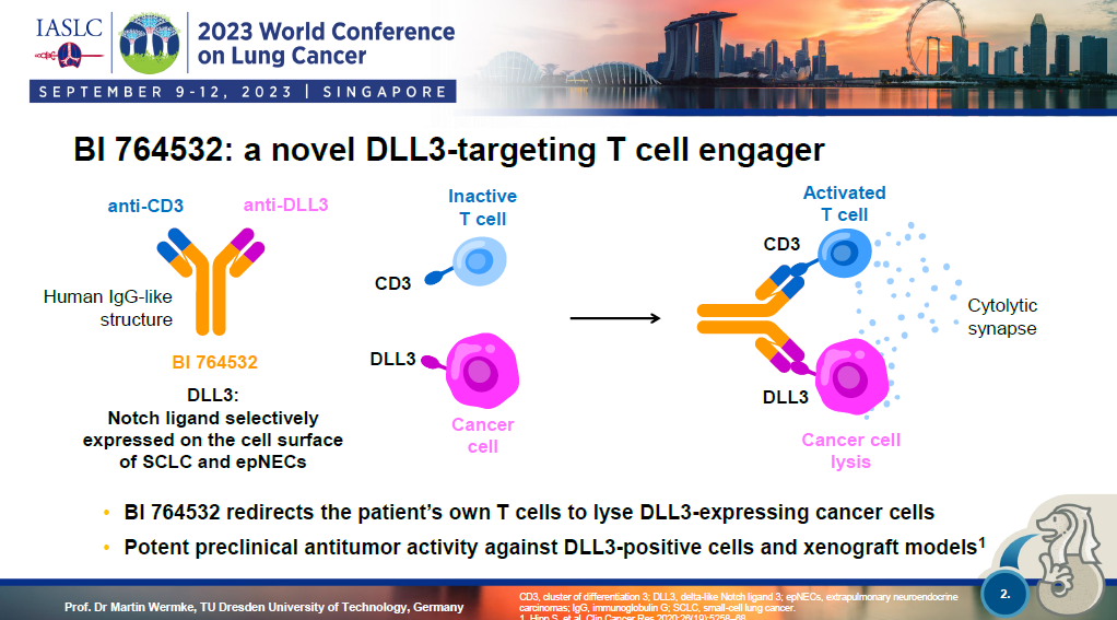 2023 WCLC | 小细胞肺癌的探索：DLL3靶向药物，B7-H3 ADC医药新闻-ByDrug-一站式医药资源共享中心-医药魔方