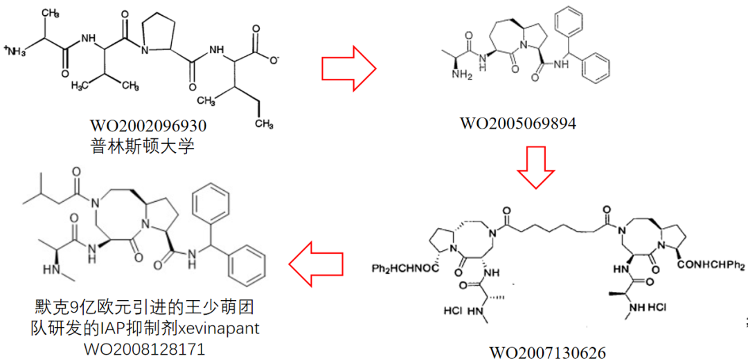 靶向难成药靶点STAT的磷酸肽类抑制剂：花开两朵，各表一枝医药新闻-ByDrug-一站式医药资源共享中心-医药魔方