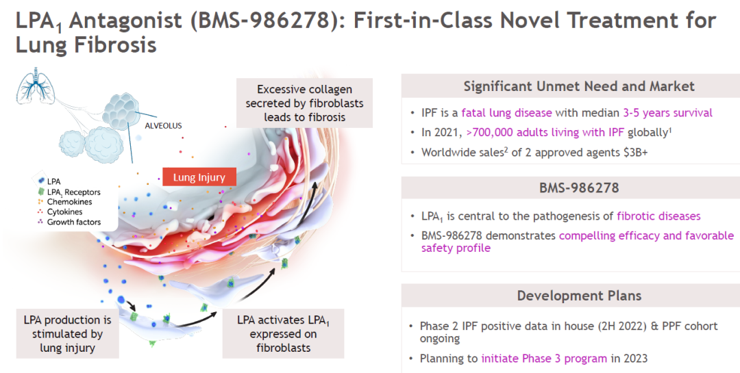 BMS：大分子双免联合“霸主”，小分子变构调节“玩家”医药新闻-ByDrug-一站式医药资源共享中心-医药魔方