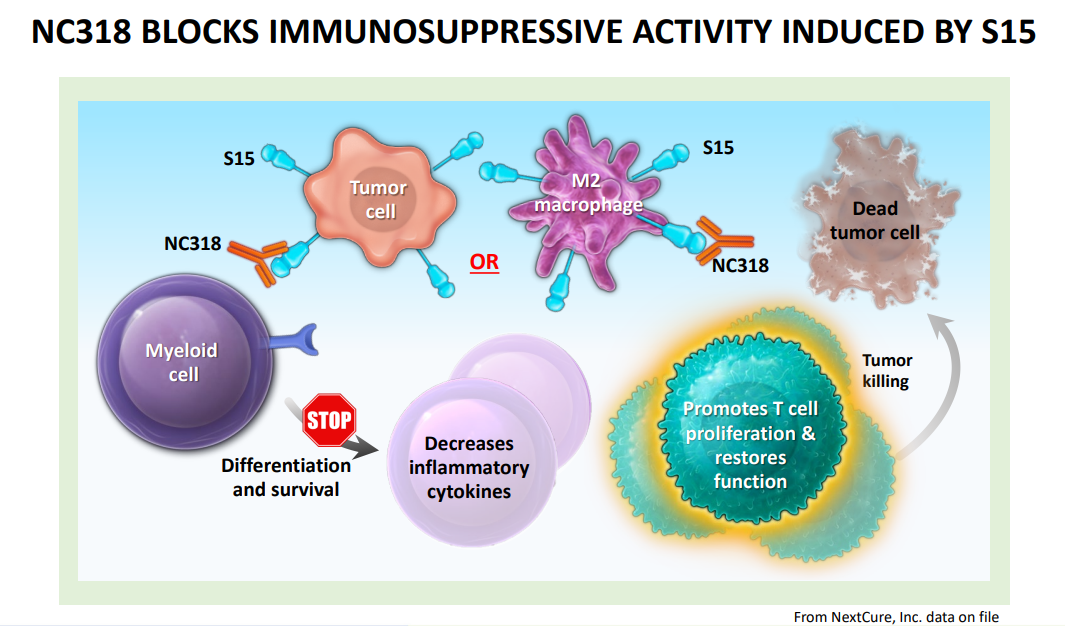 NextCure：终止开发Siglec-15单抗医药新闻-ByDrug-一站式医药资源共享中心-医药魔方