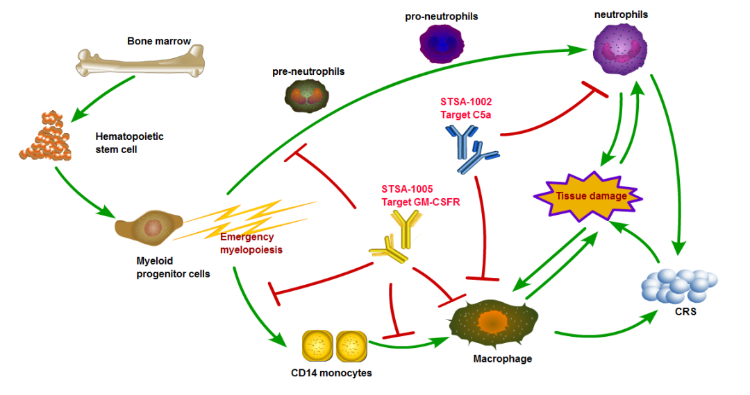 STSA-1002与STSA-1005注射液联用治疗重型、危重型新型冠状病毒肺炎取得临床试验通知书！医药新闻-ByDrug-一站式医药资源共享 ...