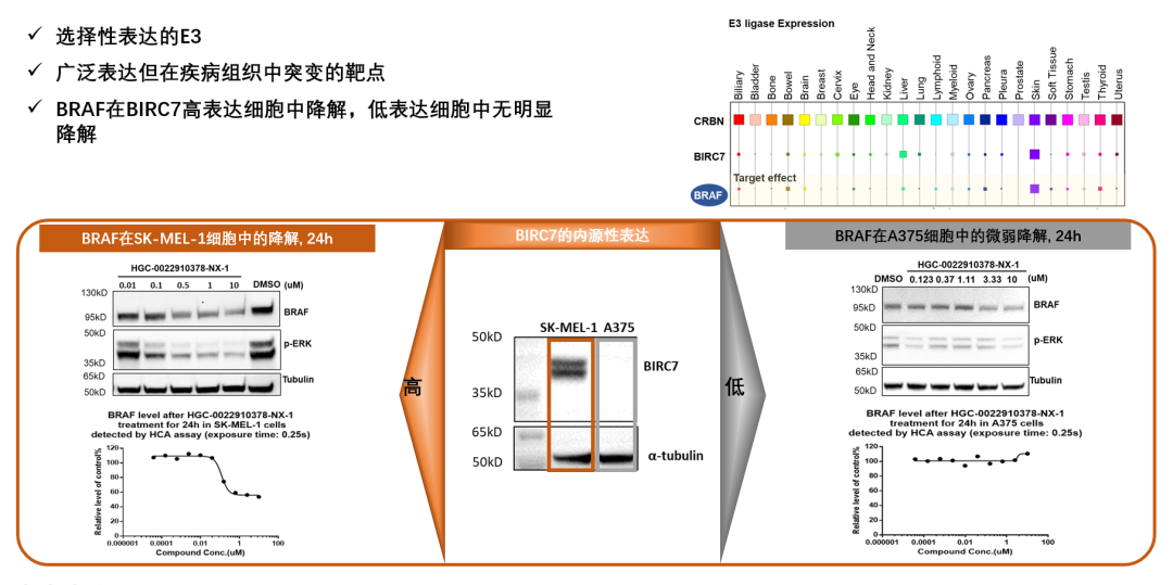 DEL for蛋白降解剂开发医药新闻-ByDrug-一站式医药资源共享中心-医药魔方