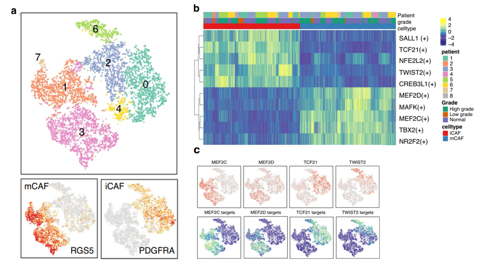 单细胞转录因子分析好帮手——pySCENIC医药新闻-ByDrug-一站式医药资源共享中心-医药魔方