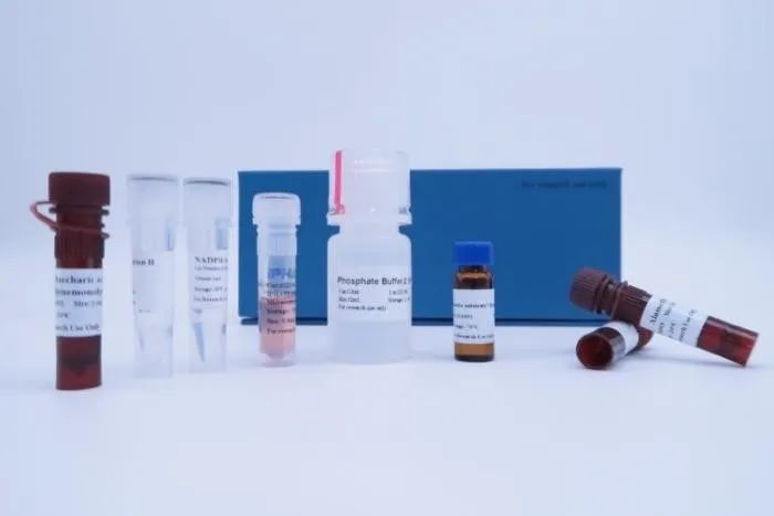 国内首家！IPHASE/汇智和源猫原代肝细胞及肝微粒体研发成功医药新闻-ByDrug-一站式医药资源共享中心-医药魔方