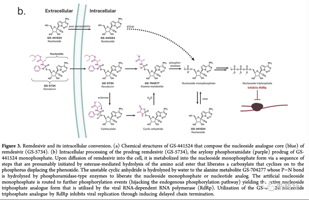 VV16的前世今生医药新闻-ByDrug-一站式医药资源共享中心-医药魔方