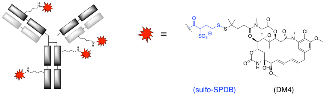 FRα 会是下一个ADC爆款吗？医药新闻-ByDrug-一站式医药资源共享中心-医药魔方