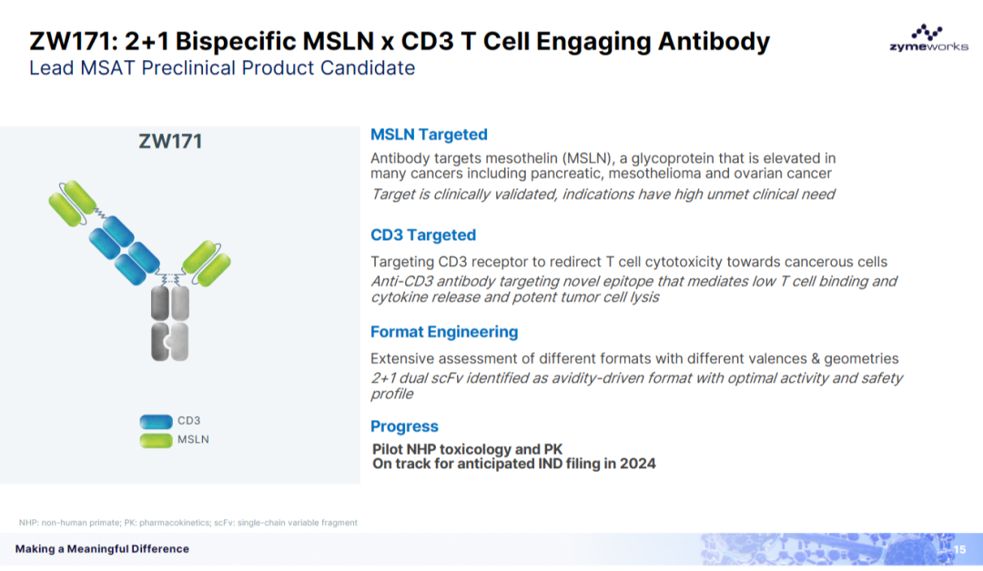 Zymeworks：CD3/MSLN双抗明年IND，NaPi-2b ADC后年IND医药新闻-ByDrug-一站式医药资源共享中心-医药魔方