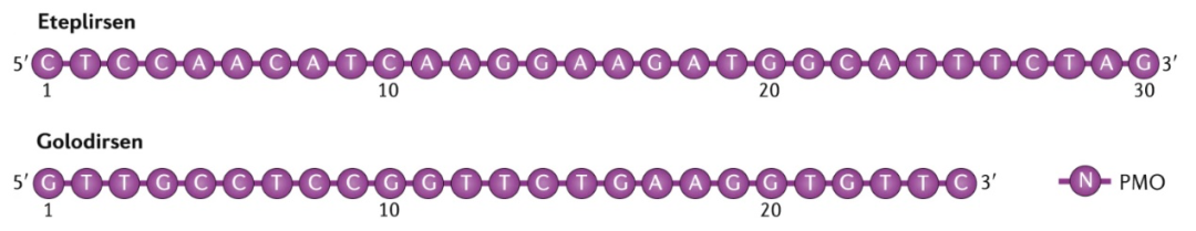 小核酸有大未来--ASO类药物技术分析｜【富海洞察】医药新闻-ByDrug-一站式医药资源共享中心-医药魔方