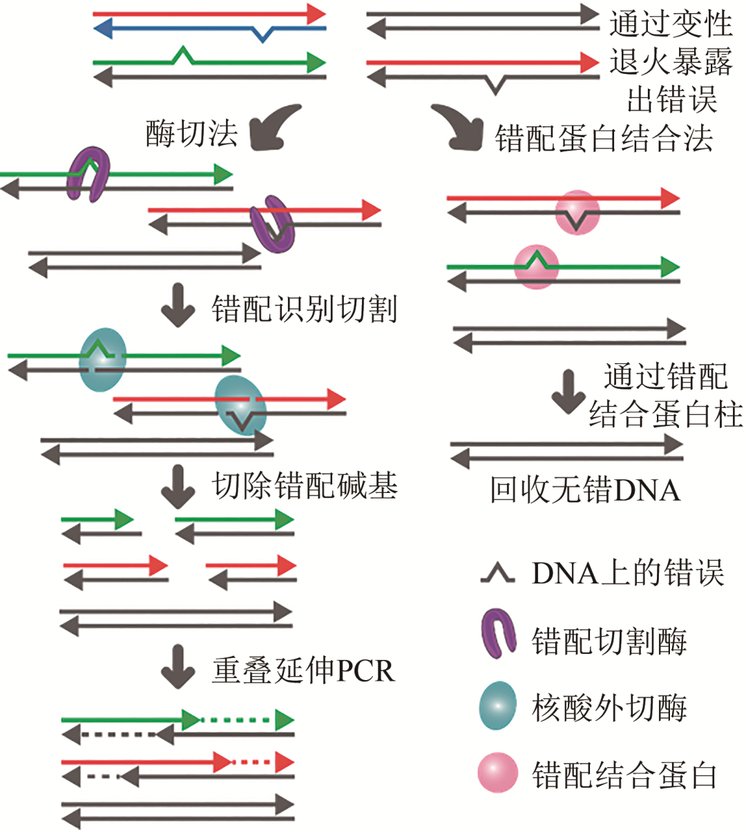 SynBio Insights | DNA合成、组装与纠错技术研究进展医药新闻-ByDrug-一站式医药资源共享中心-医药魔方