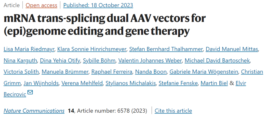 AAV也能高效递送大型基因，ViGeneron创新基因递送技术登上《自然》子刊医药新闻-ByDrug-一站式医药资源共享中心-医药魔方