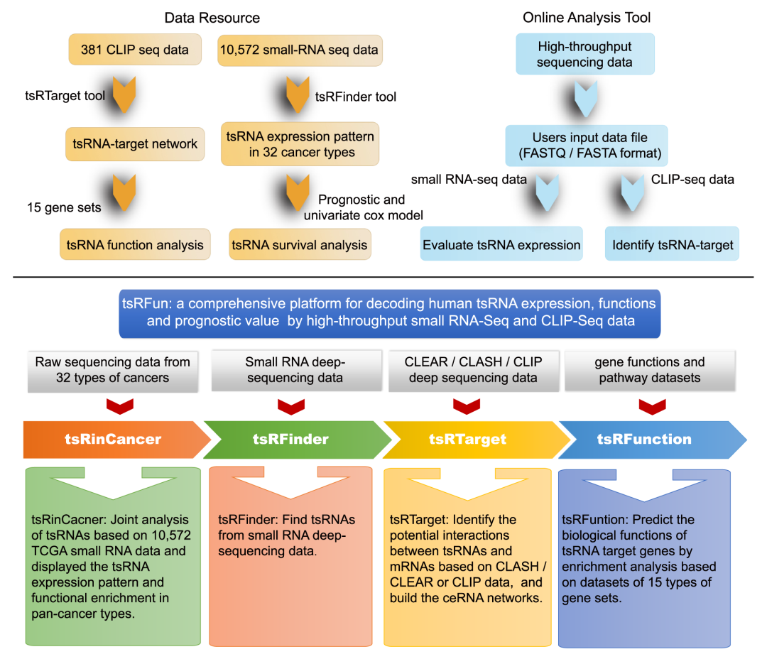 miRNA最新研究进展盘点（20211119）医药新闻-ByDrug-一站式医药资源共享中心-医药魔方