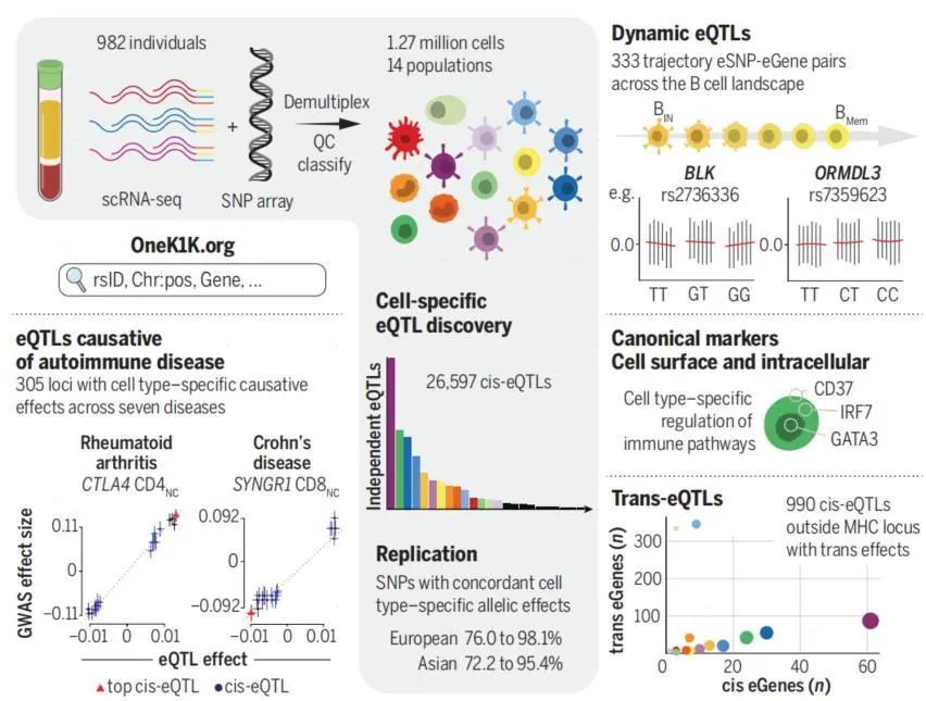 CNS新宠儿 | 出道即巅峰，单细胞eQTL研究案例大放送医药新闻-ByDrug-一站式医药资源共享中心-医药魔方