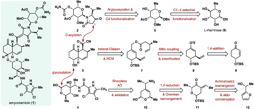JACS | 李超课题组完成了具有广谱抗生素活性的天然产物Amycolamicin 和 Kibdelomycin 的全合成工作医药新闻 ...