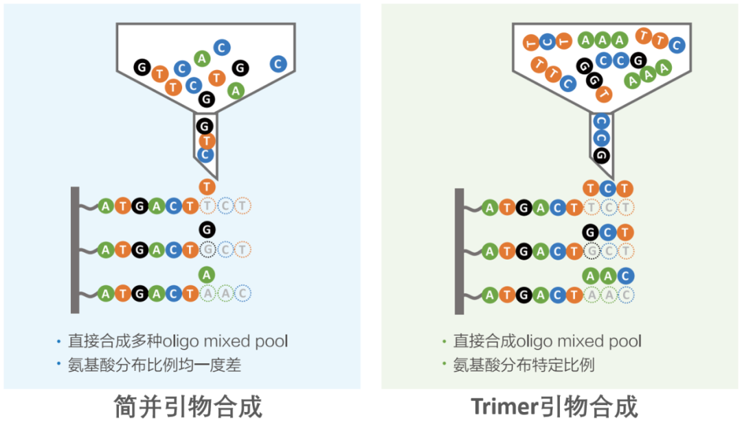 打破原料壁垒，Trimer oligo来了！医药新闻-ByDrug-一站式医药资源共享中心-医药魔方