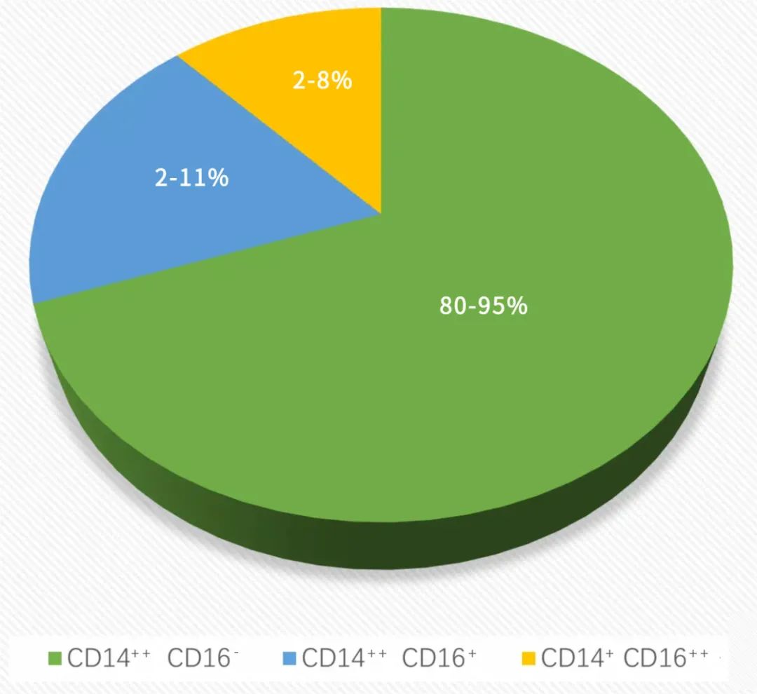 新品上市 | IPHASE CD14+单核细胞阳性分选试剂盒医药新闻-ByDrug-一站式医药资源共享中心-医药魔方