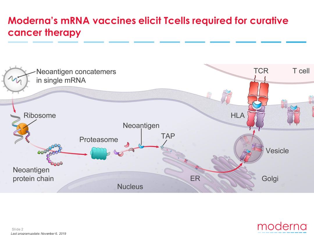 靶向KRAS！默沙东与Moderna终止mRNA癌症疫苗合作医药新闻-ByDrug-一站式医药资源共享中心-医药魔方