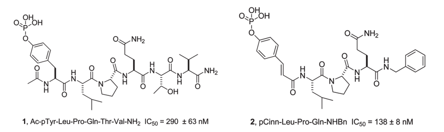 靶向难成药靶点STAT的磷酸肽类抑制剂：花开两朵，各表一枝医药新闻-ByDrug-一站式医药资源共享中心-医药魔方