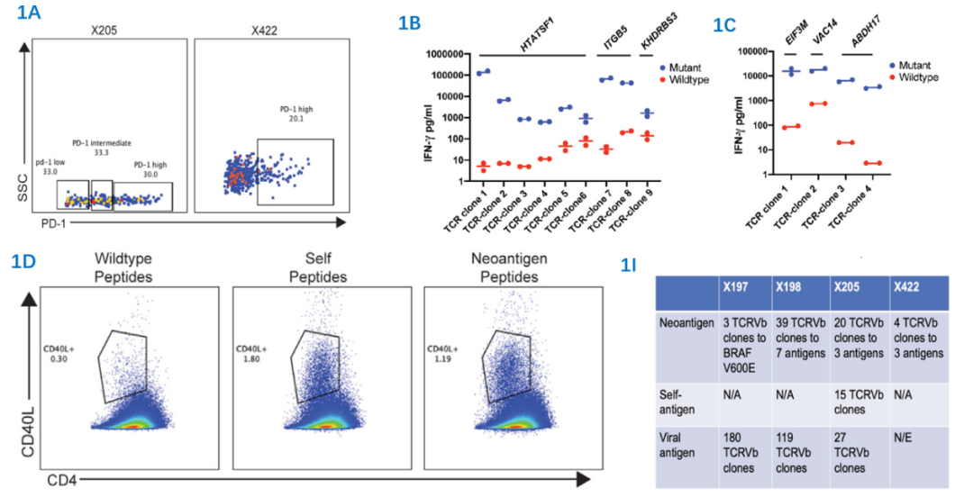 BD Rhapsody单细胞多组学技术助力黑色素瘤特异性CD4+T细胞研究医药新闻-ByDrug-一站式医药资源共享中心-医药魔方