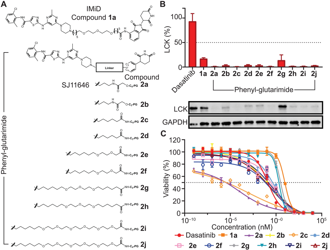 PROTAC抗癌新突破！治疗高风险白血病，有效延长小鼠生存期 | Science子刊最新成果医药新闻-ByDrug-一站式医药资源共享中心-医药魔方