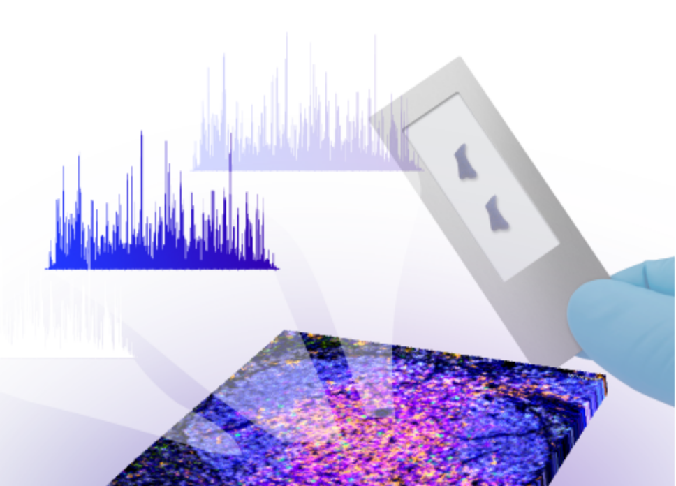 高瓴创投加注贝普奥Pre-A轮融资，专注突破性蛋白质组学技术医药新闻-ByDrug-一站式医药资源共享中心-医药魔方