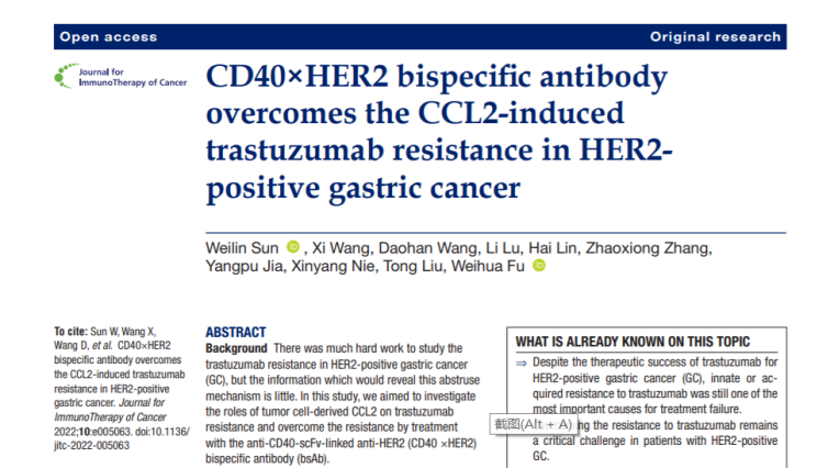 人才视界 | 付蔚华课题组J Immunother Cancer揭示HER2阳性胃癌靶向耐药的免疫新机制医药新闻-ByDrug-一站式医药资源共享中心-医药魔方