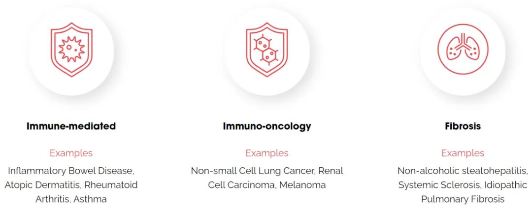 1.1亿美元，辉瑞再投资AI制药医药新闻-ByDrug-一站式医药资源共享中心-医药魔方