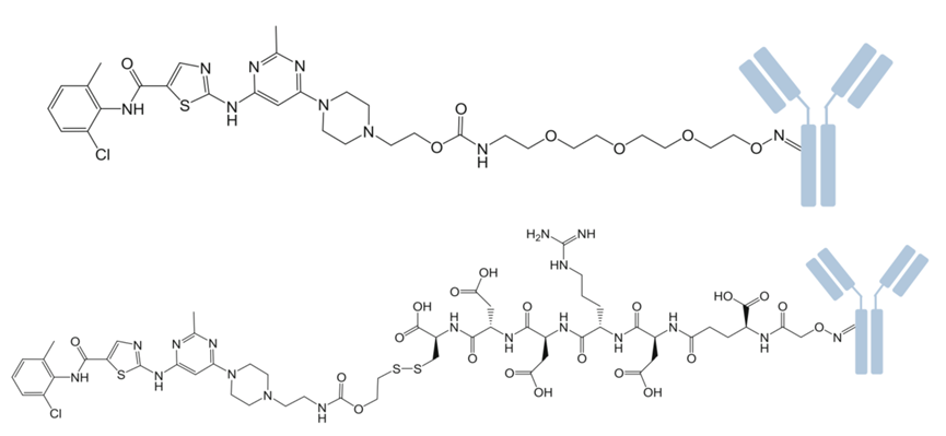 ADCs Beyond Oncology：ADC在非抗肿瘤领域中的研究进展医药新闻-ByDrug-一站式医药资源共享中心-医药魔方