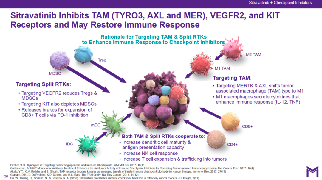Sitravatinib，克服获得性免疫检查点抑制剂耐药的“宝石”？医药新闻-ByDrug-一站式医药资源共享中心-医药魔方