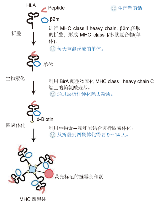 MBL北京细胞治疗技术研发中心在京成立医药新闻-ByDrug-一站式医药资源共享中心-医药魔方