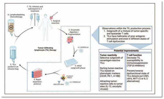 提高TIL治疗实体瘤患者效果的新策略医药新闻-ByDrug-一站式医药资源共享中心-医药魔方