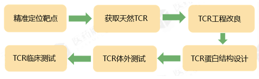 TCR疗法新锐 | 可瑞生物：布局TCR双平台，细胞疗法与蛋白药物“齐步走”医药新闻-ByDrug-一站式医药资源共享中心-医药魔方