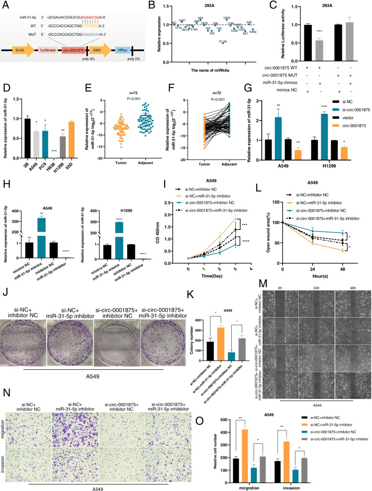 吉玛基因siRNA/miRNA相关产品、双荧光素酶质粒及fish探针助力非小细胞肺癌相关研究医药新闻-ByDrug-一站式医药资源共享中心-医药魔方