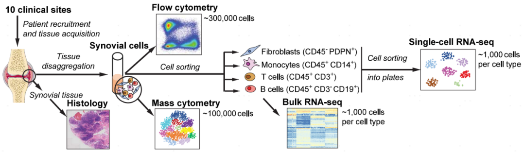 器度宽广|SingleronPythoN与流式细胞术多维解析细胞医药新闻-ByDrug-一站式医药资源共享中心-医药魔方