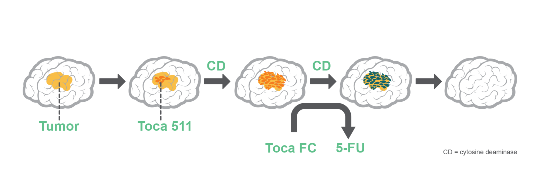 索元生物收购Tocagen逆转录病毒基因治疗平台医药新闻-ByDrug-一站式医药资源共享中心-医药魔方