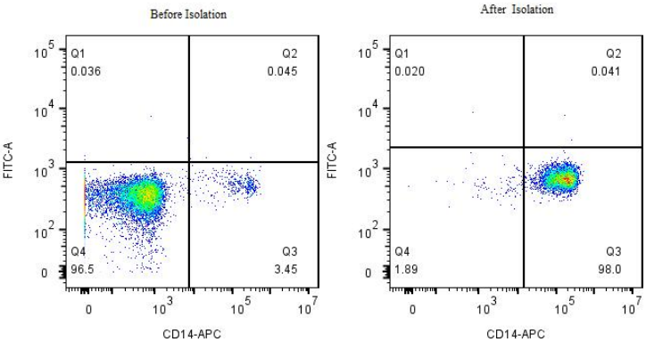 新品上市 | IPHASE CD14+单核细胞阳性分选试剂盒医药新闻-ByDrug-一站式医药资源共享中心-医药魔方